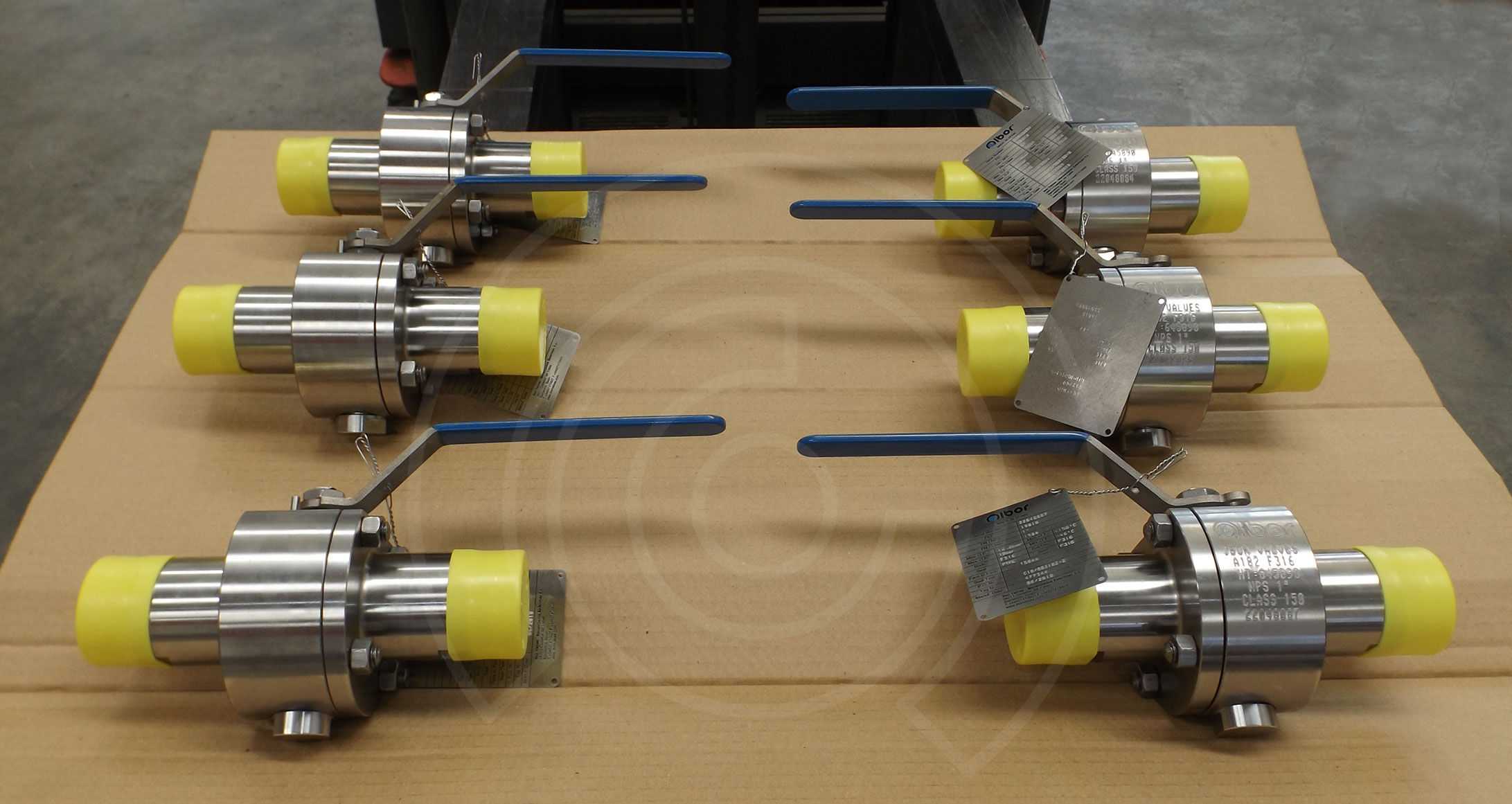 SOFT SEAT TRUNNION BALL VALVES - Ibor valves